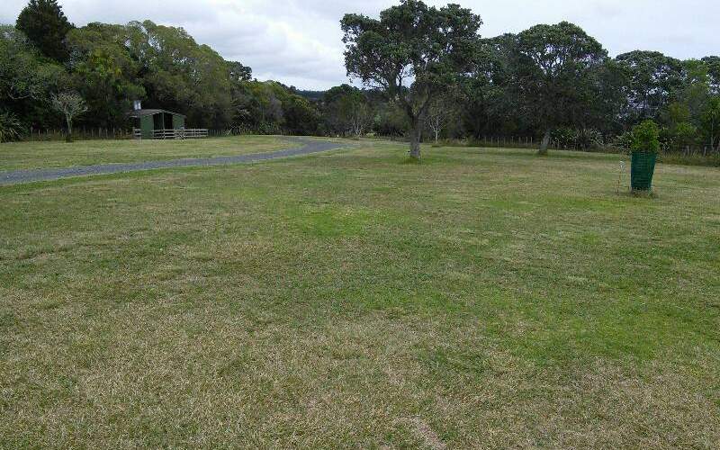 Omana Regional Park | Freedom/Basic Camp | New Zealand